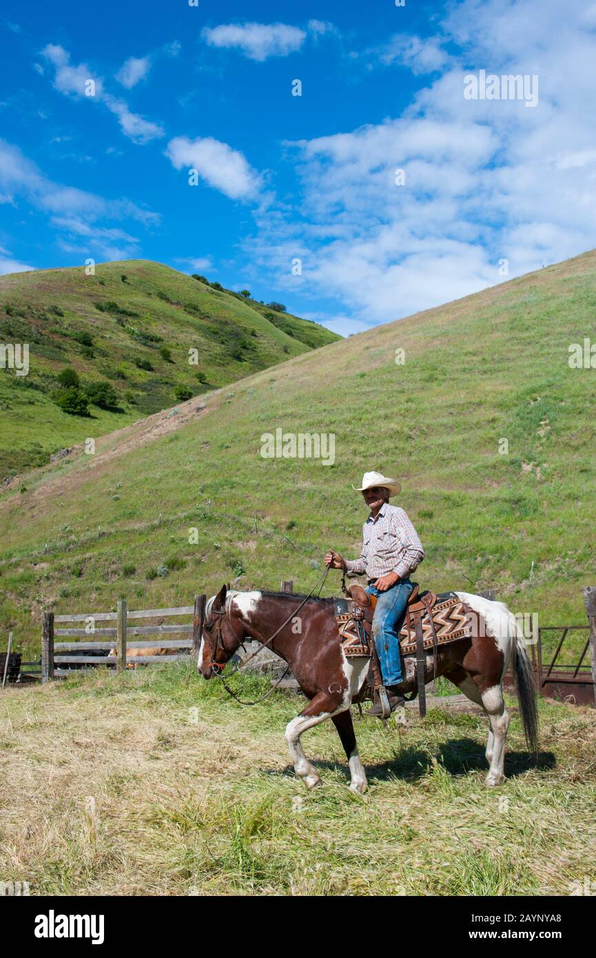 Coral snake usa hi-res stock photography and images - Alamy