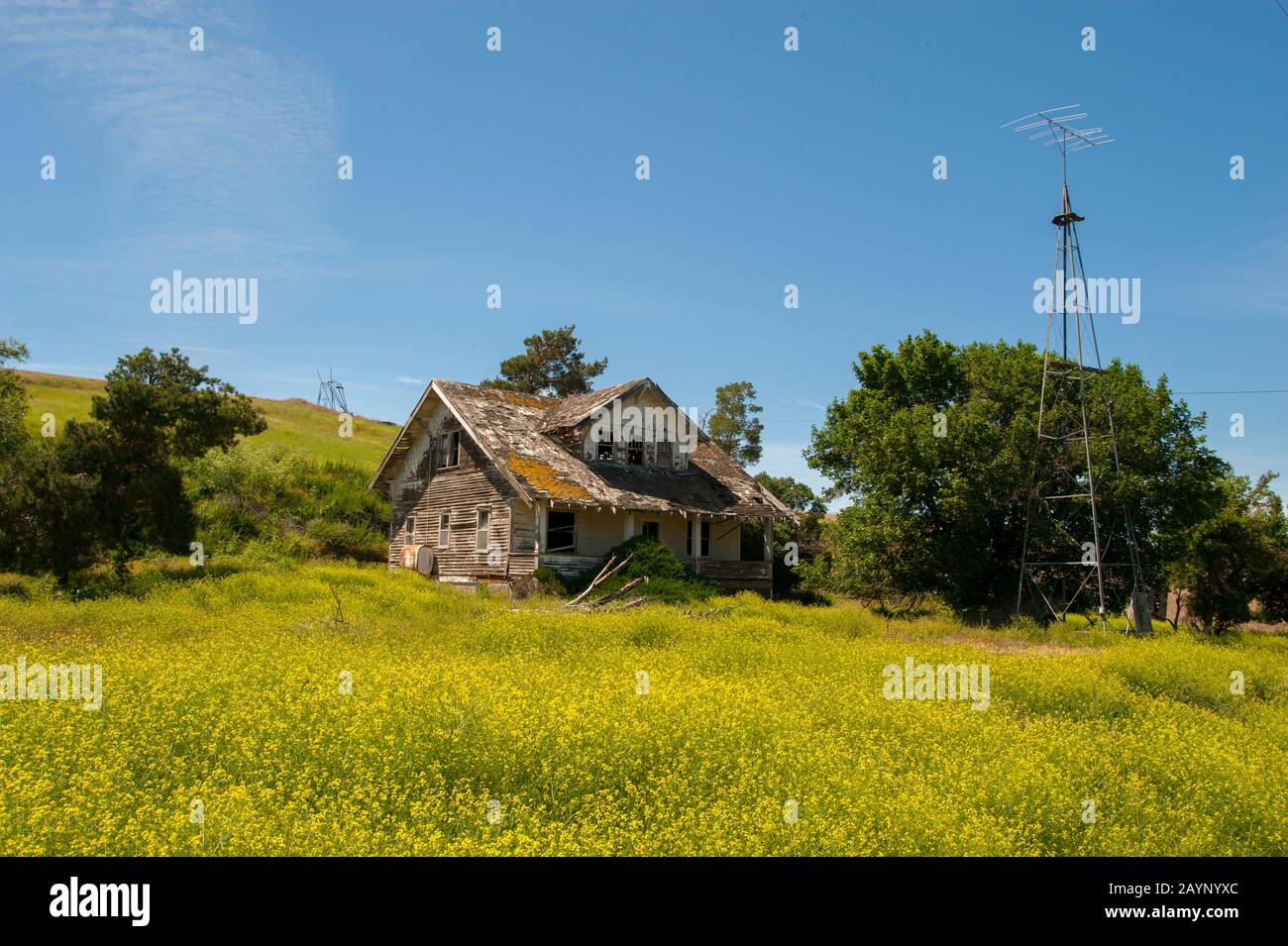 Old abandoned farm house in the Palouse near Colfax, Eastern Washington ...