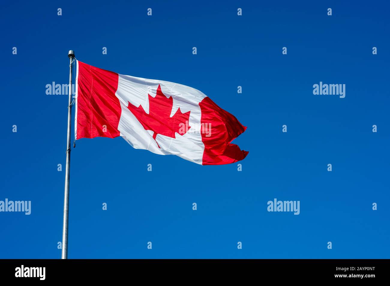 Canadian national flag Stock Photo - Alamy