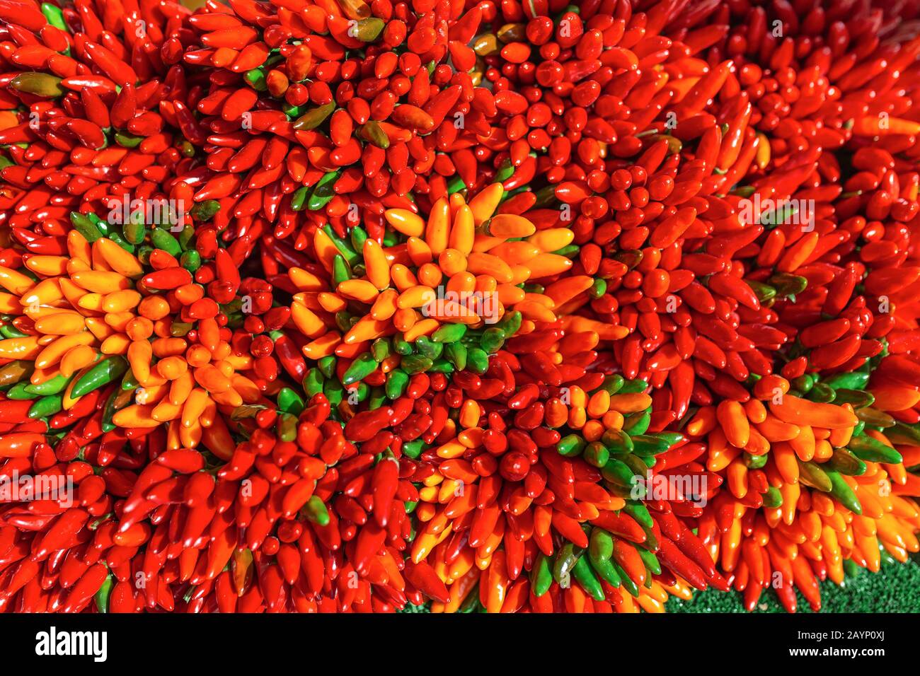 Colorful hot peppers as background Stock Photo - Alamy
