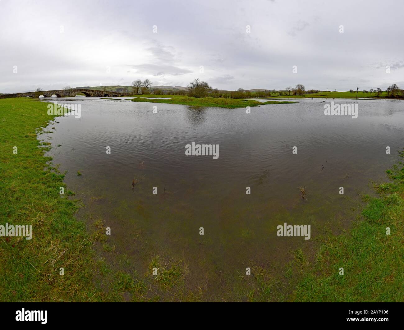 River Ribble in flood Stock Photo - Alamy