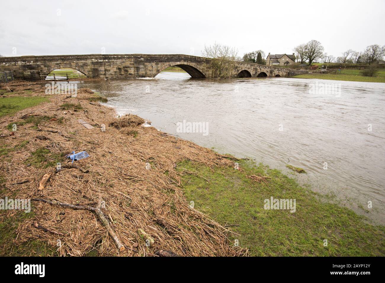 River Ribble in flood Stock Photo - Alamy