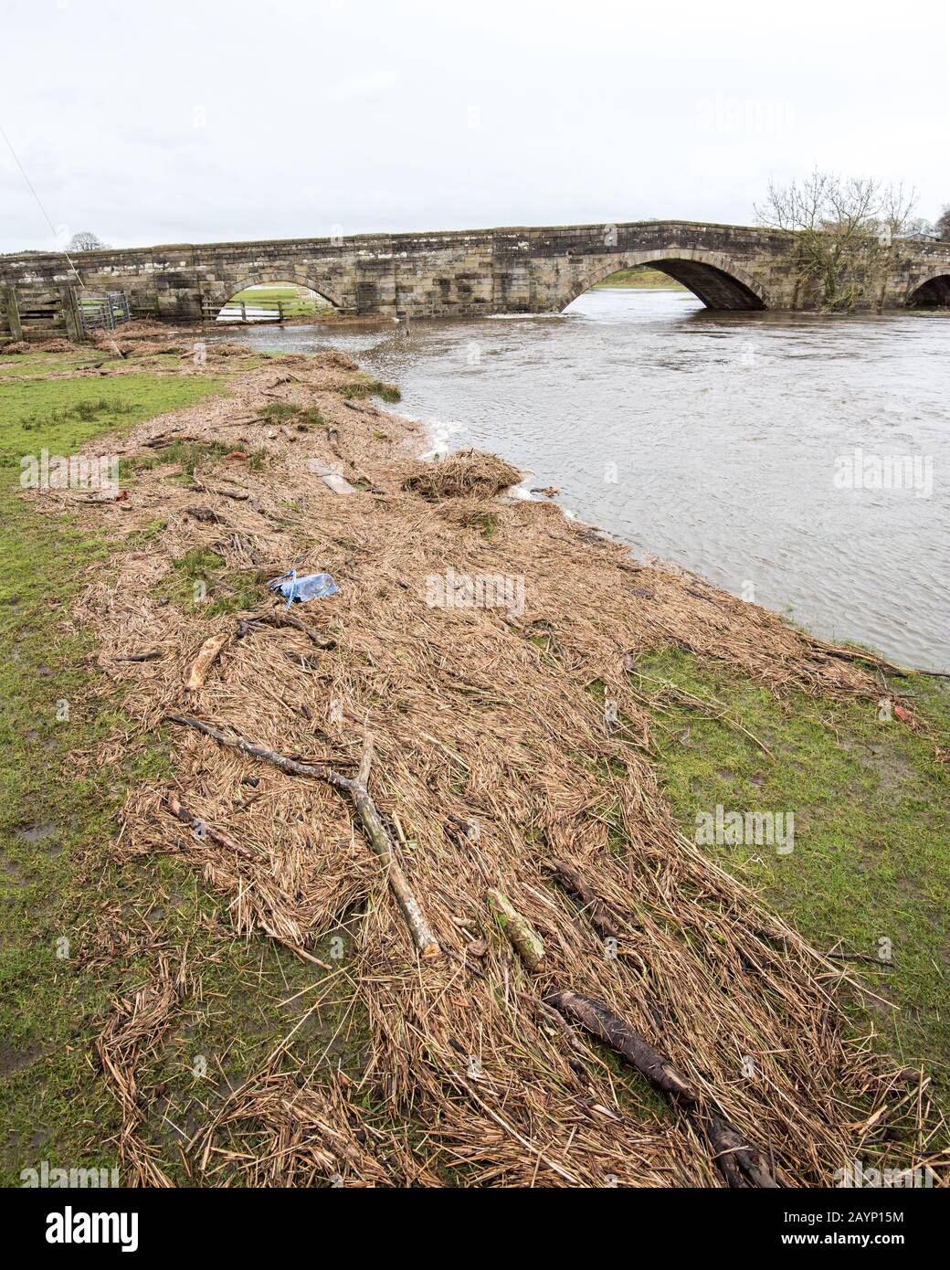 River Ribble in flood Stock Photo - Alamy