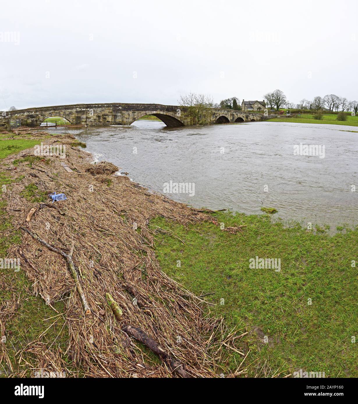 River Ribble in flood Stock Photo - Alamy