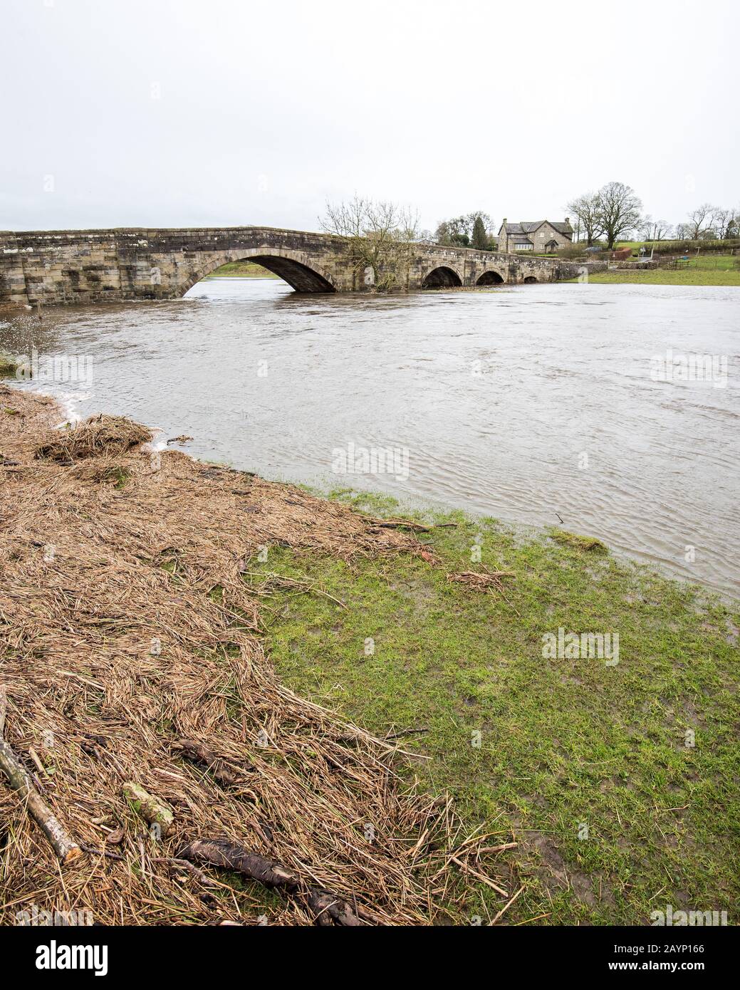 River Ribble in flood Stock Photo - Alamy