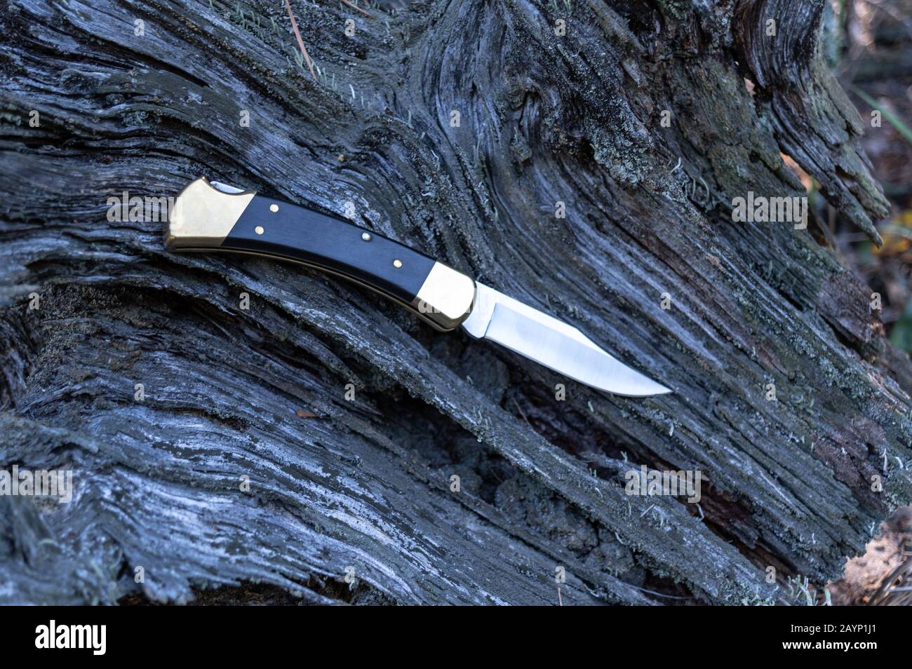 Folding hunting knife. Knife with brass bolsers. Knife on a texture ...