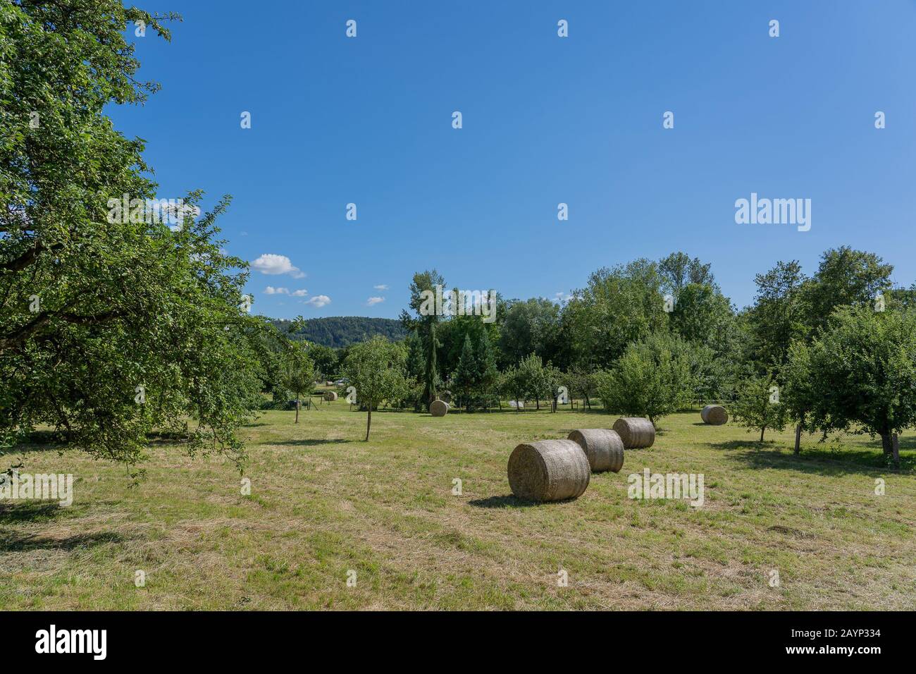 Hay bales in summer on big meadow with blue sky and white clouds Stock ...