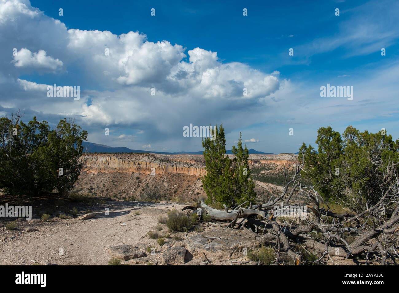 Landscape at Tsankawi, Bandelier National Monument in New Mexico, USA ...