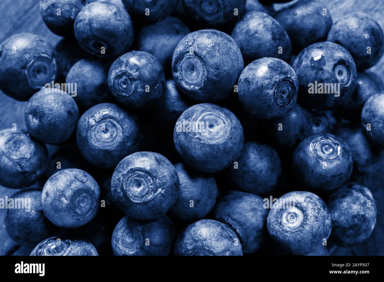 A handful of blueberry berries tinted in classic blue. Backdrop ...