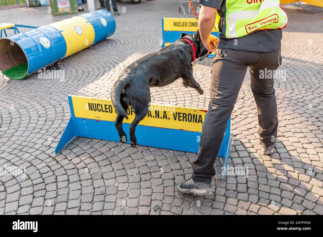 20 OCTOBER 2018, VERONA, ITALY: Canine man coaches service dog that ...