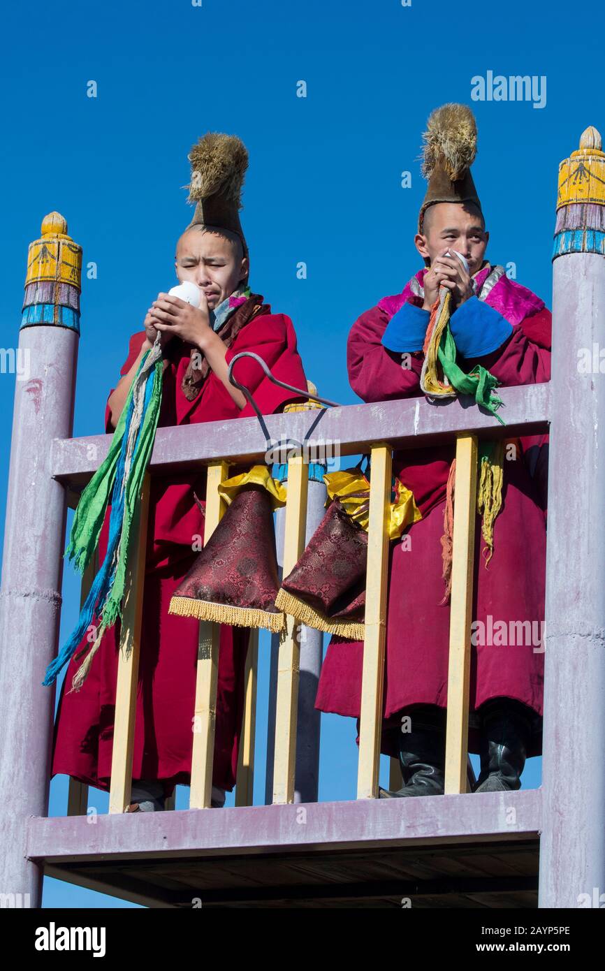 Monk shell hi-res stock photography and images - Alamy