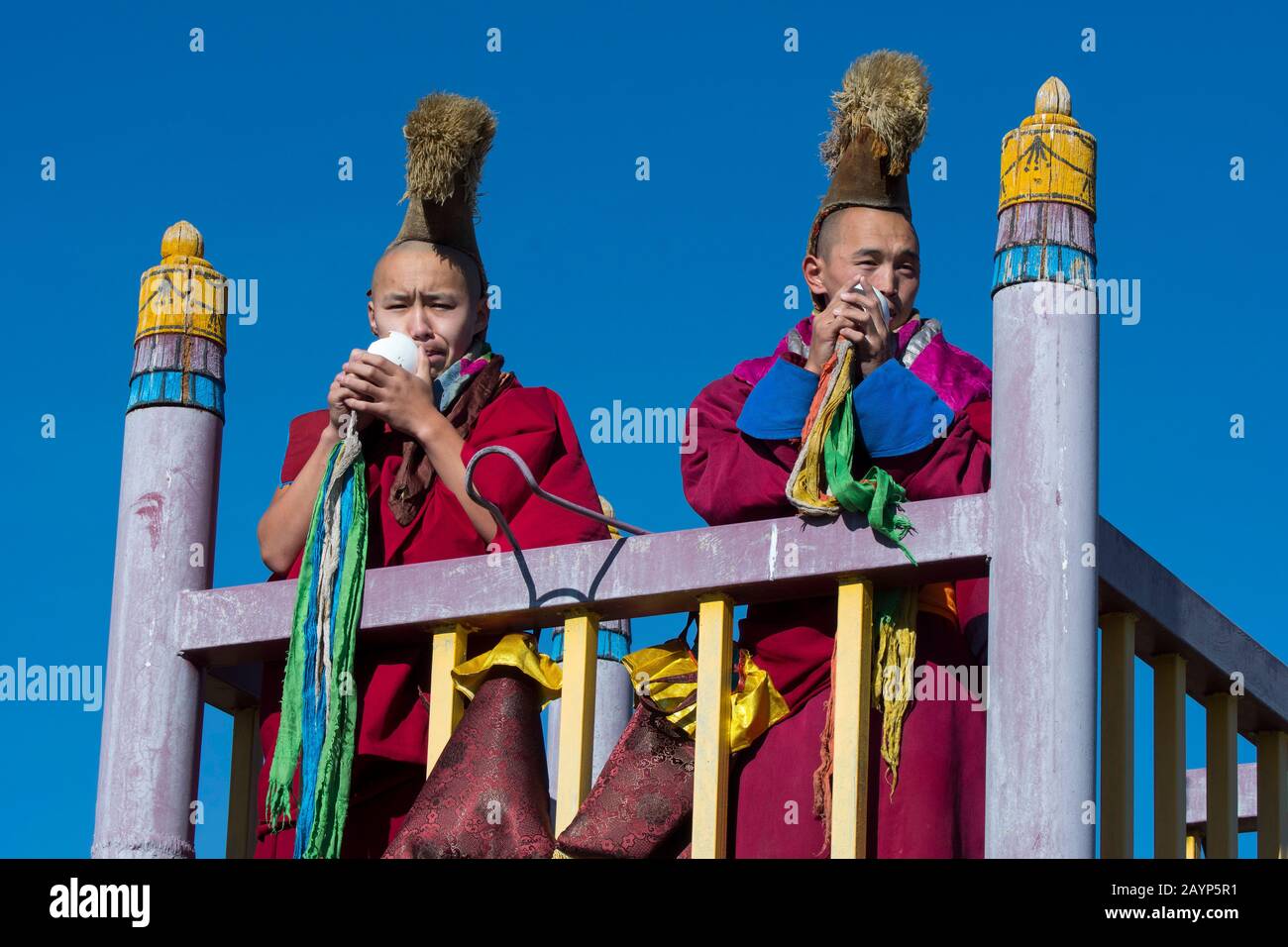 Monk shell hi-res stock photography and images - Alamy