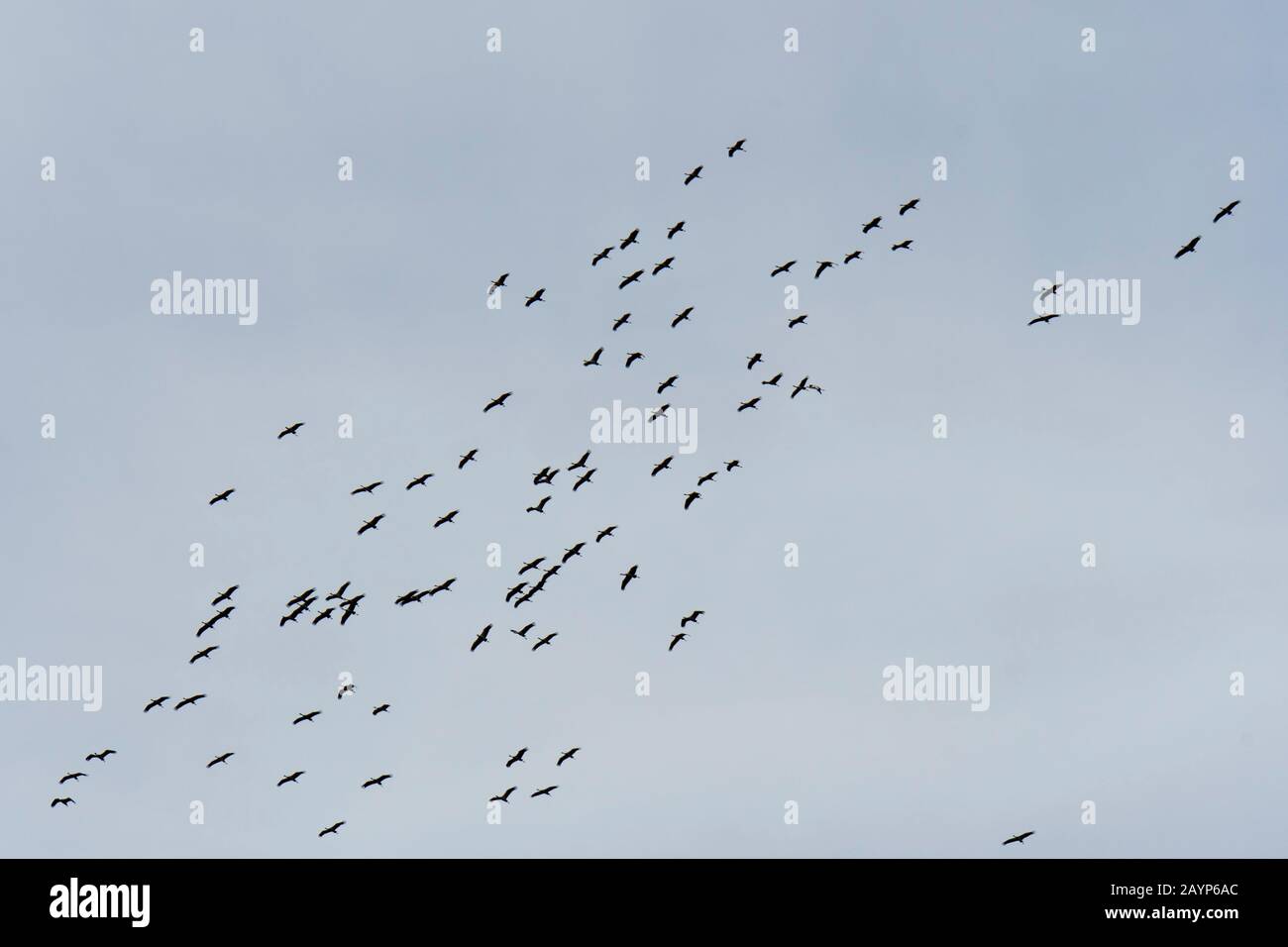 Migrating sand dunes hi-res stock photography and images - Alamy
