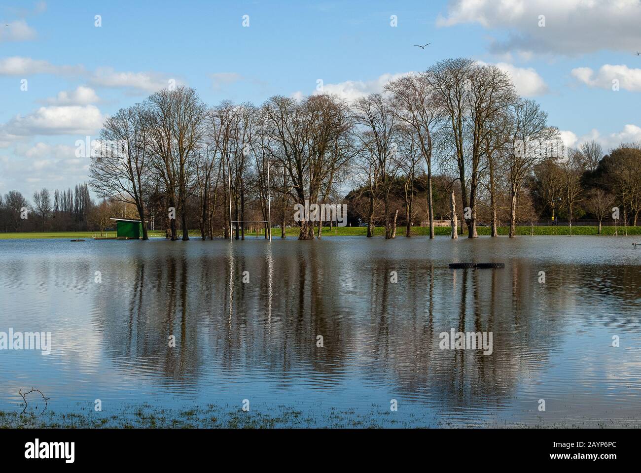 Flooding, Windsor, Berkshire, UK. 16th February, 2014. The River Thames ...