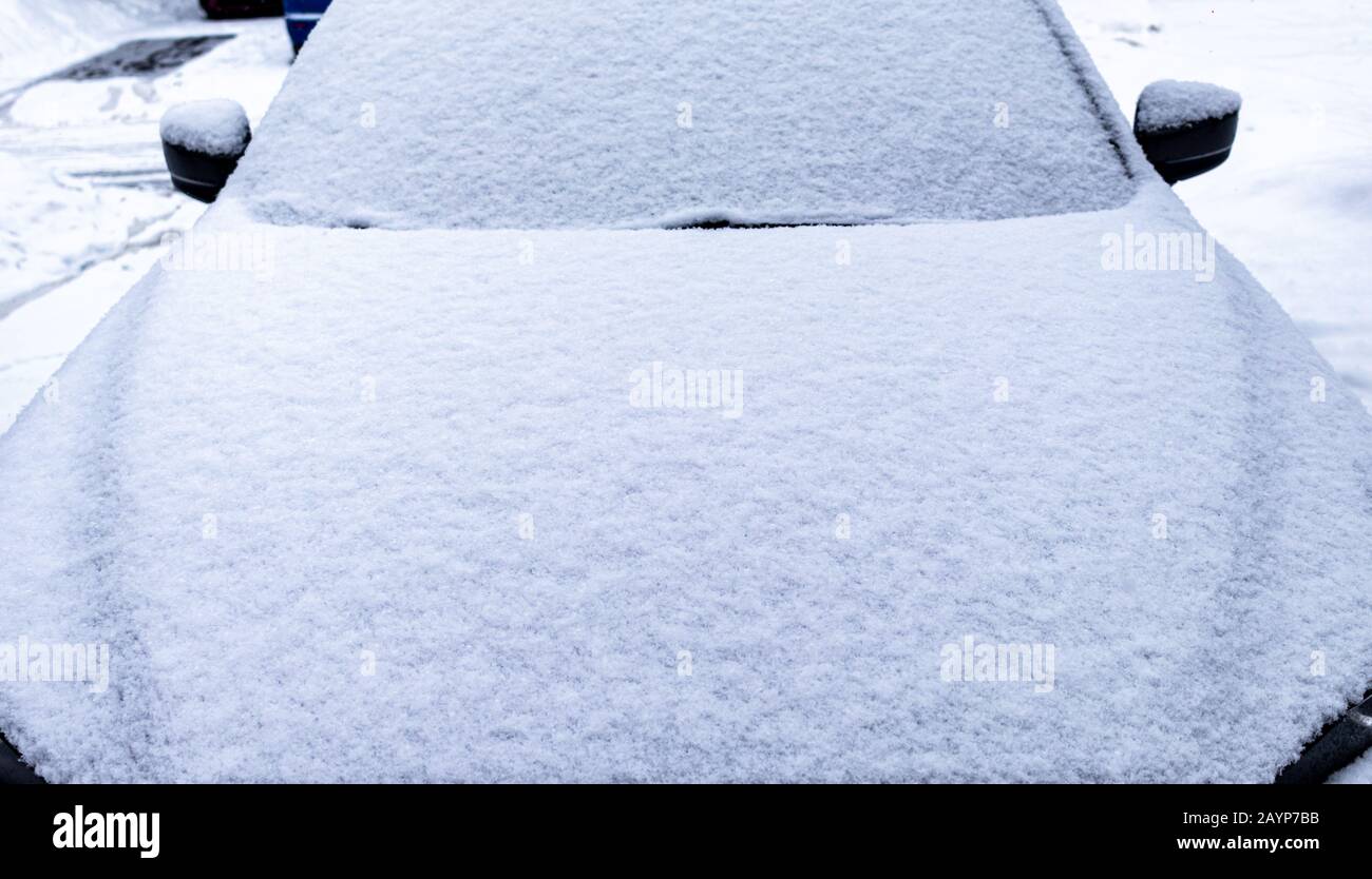 The front windshield and hood of a car, along with its side mirrors ...