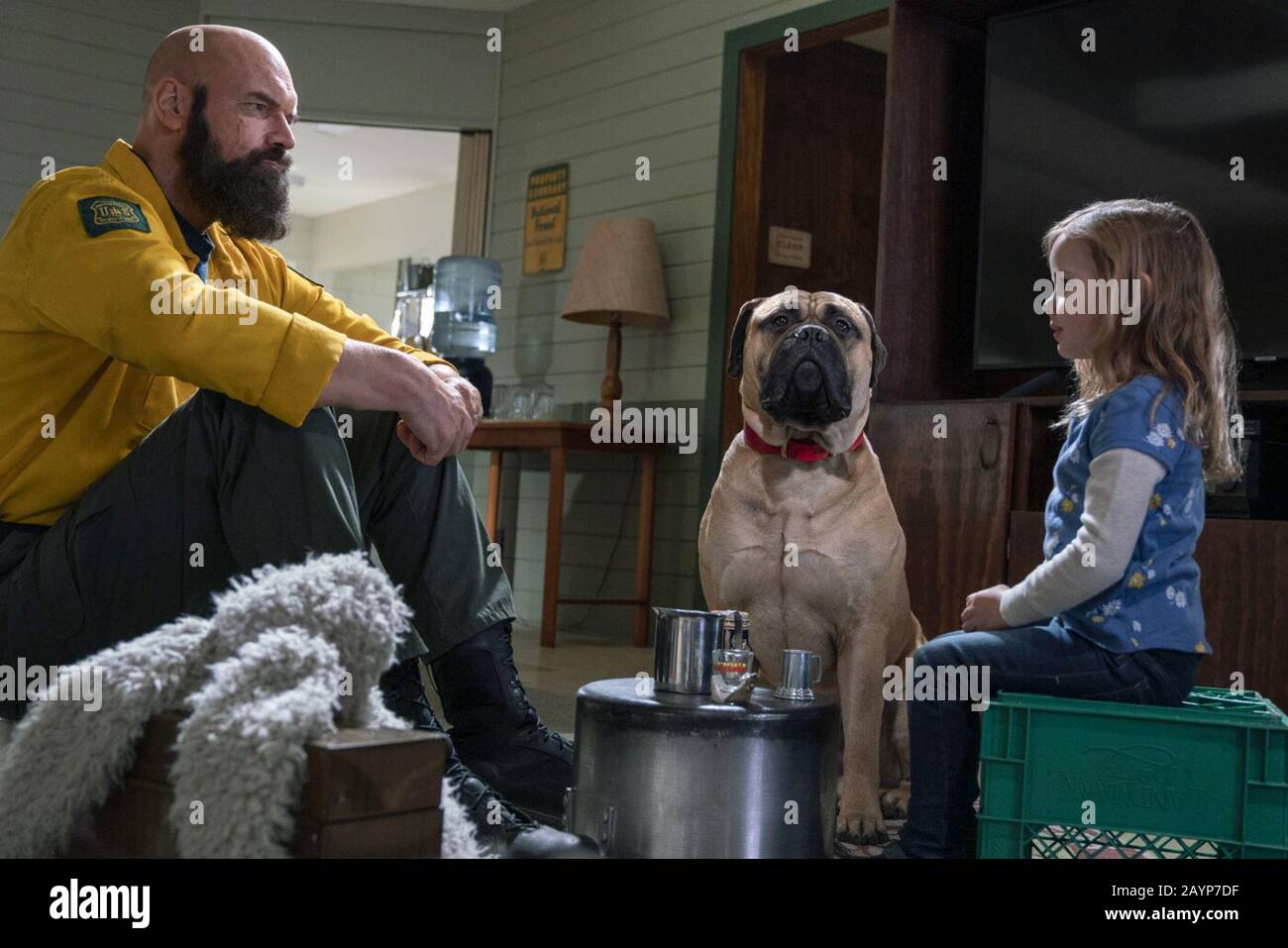 Playing with Fire is a 2019 American family comedy film directed by Andy Fickman from a ...