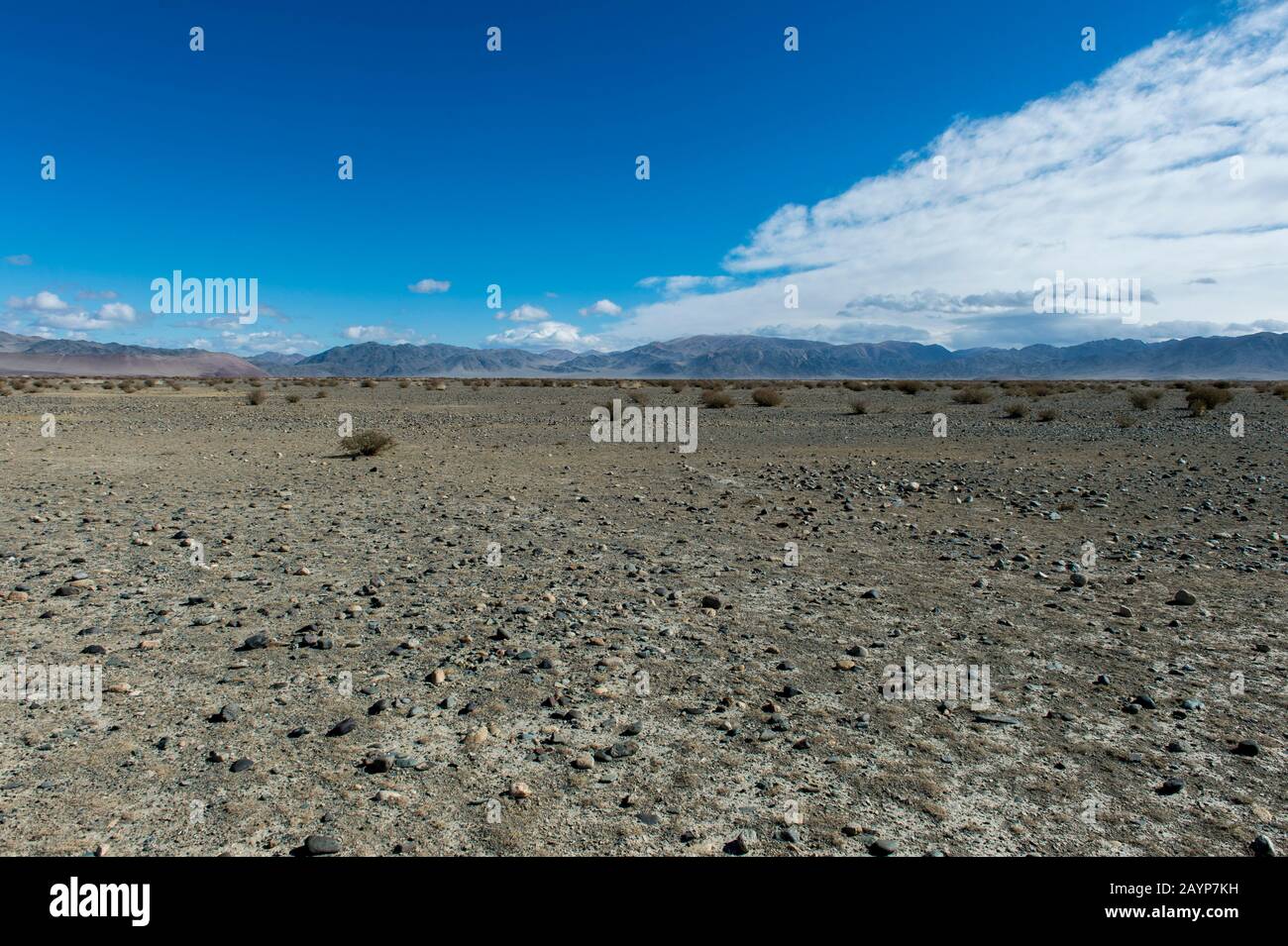 The barren landscape of the Sagsai Valley in the Altai Mountains near ...