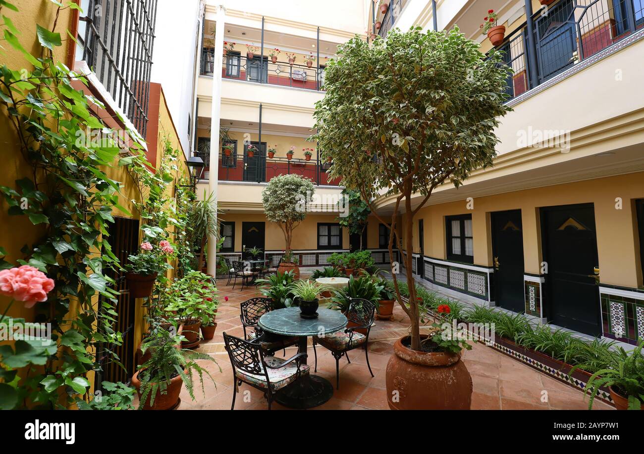 Typical Andalusian patio with fountain and numerous plants on the walls ...