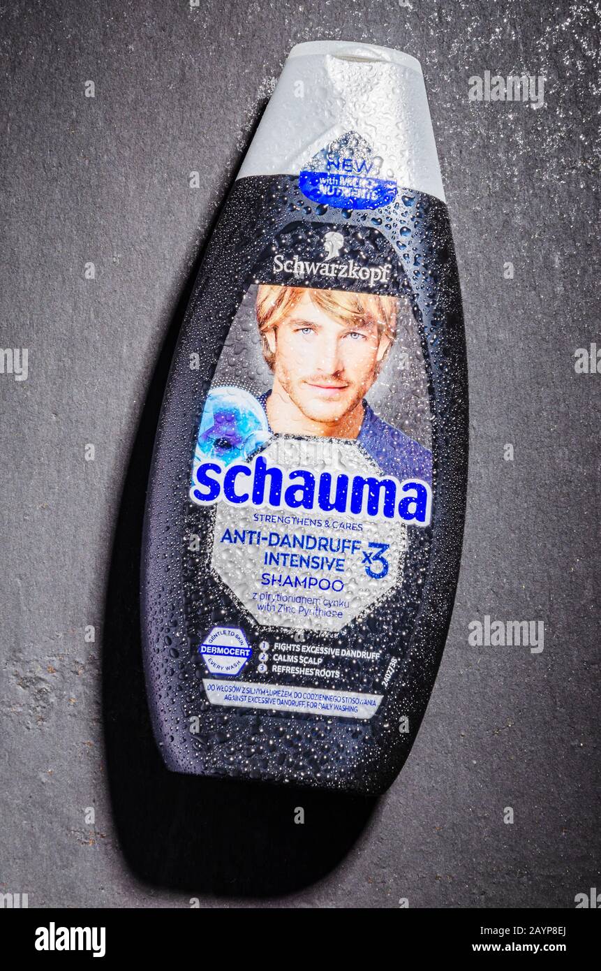 Schwarzkopf shampoo isolated on stone slate background. In 1927, liquid ...