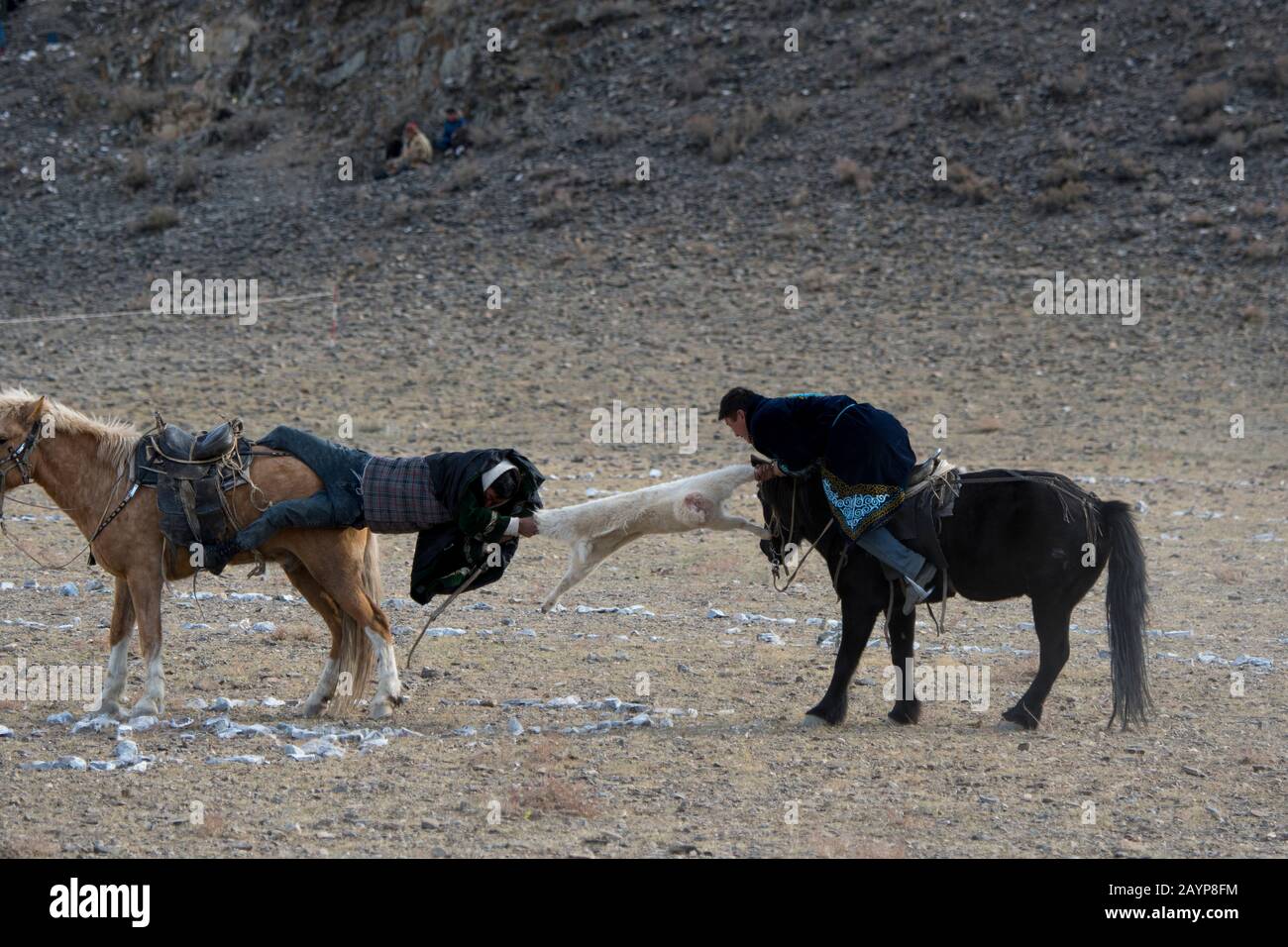 The Kokpar (goat dragging) competition is a traditional horseback ...