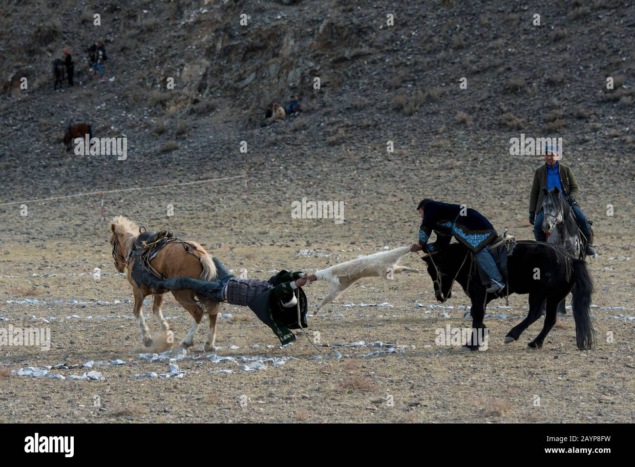 The Kokpar (goat dragging) competition is a traditional horseback ...
