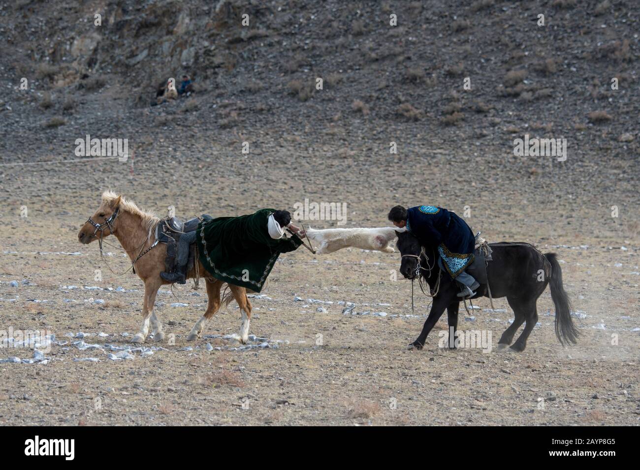 The Kokpar (goat dragging) competition is a traditional horseback ...