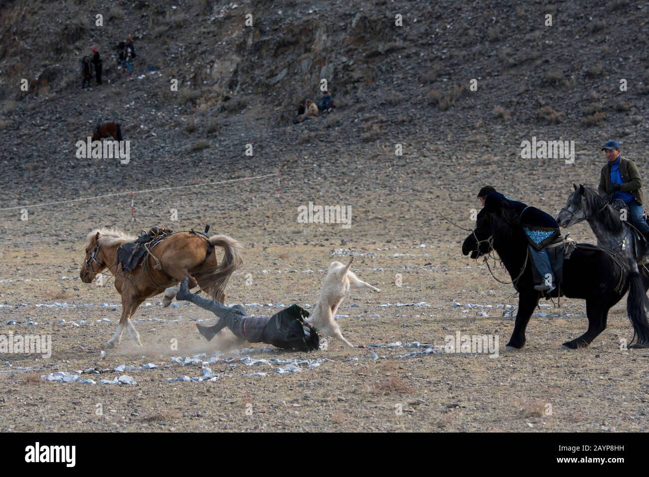 The Kokpar (goat dragging) competition is a traditional horseback ...