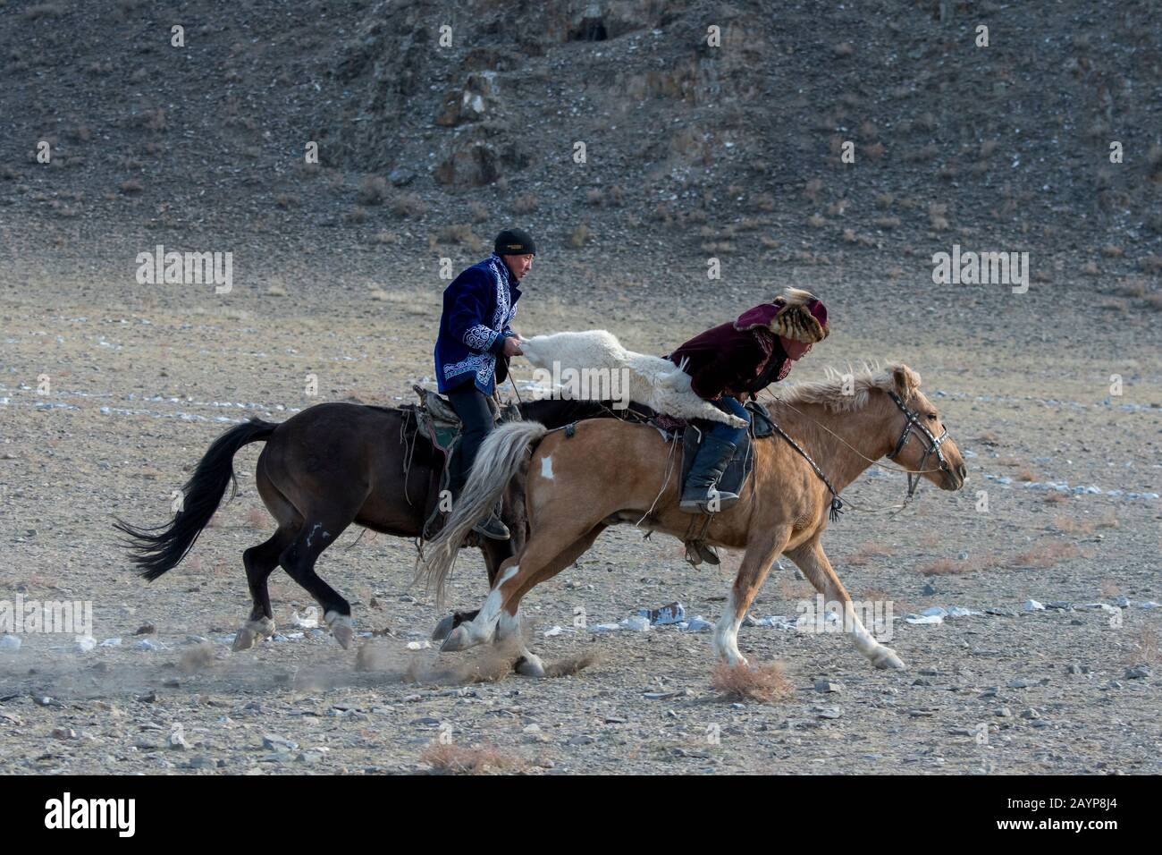 The Kokpar (goat dragging) competition is a traditional horseback ...