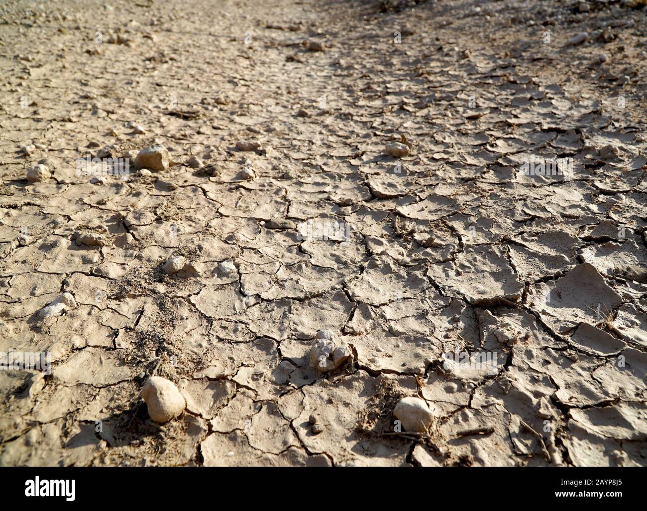 Dry and cracked mud in a river bed Stock Photo - Alamy