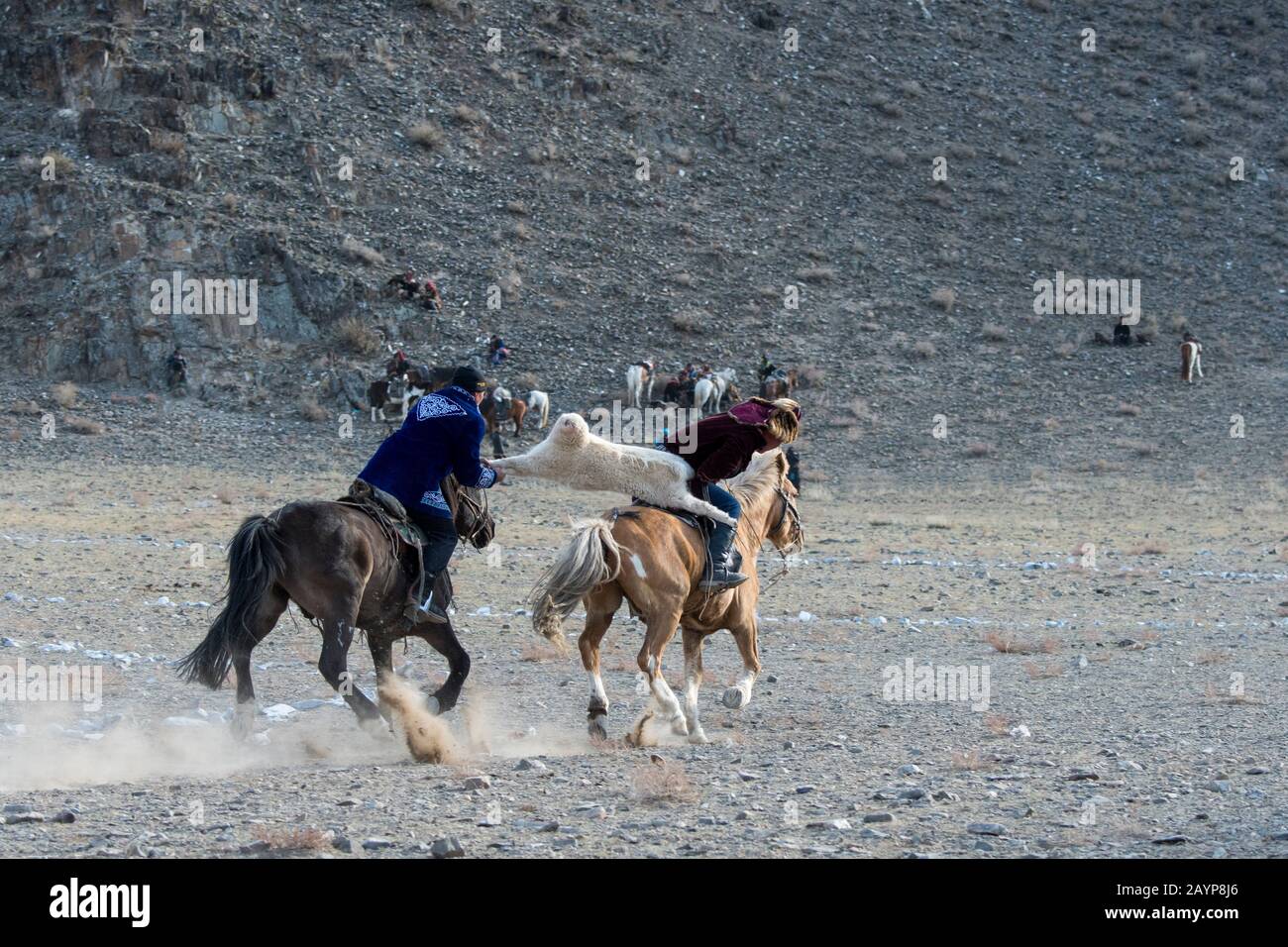 The Kokpar (goat dragging) competition is a traditional horseback ...