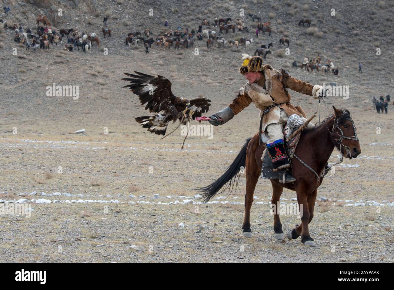 The eagle calling competition (After the eagle is released from a ...