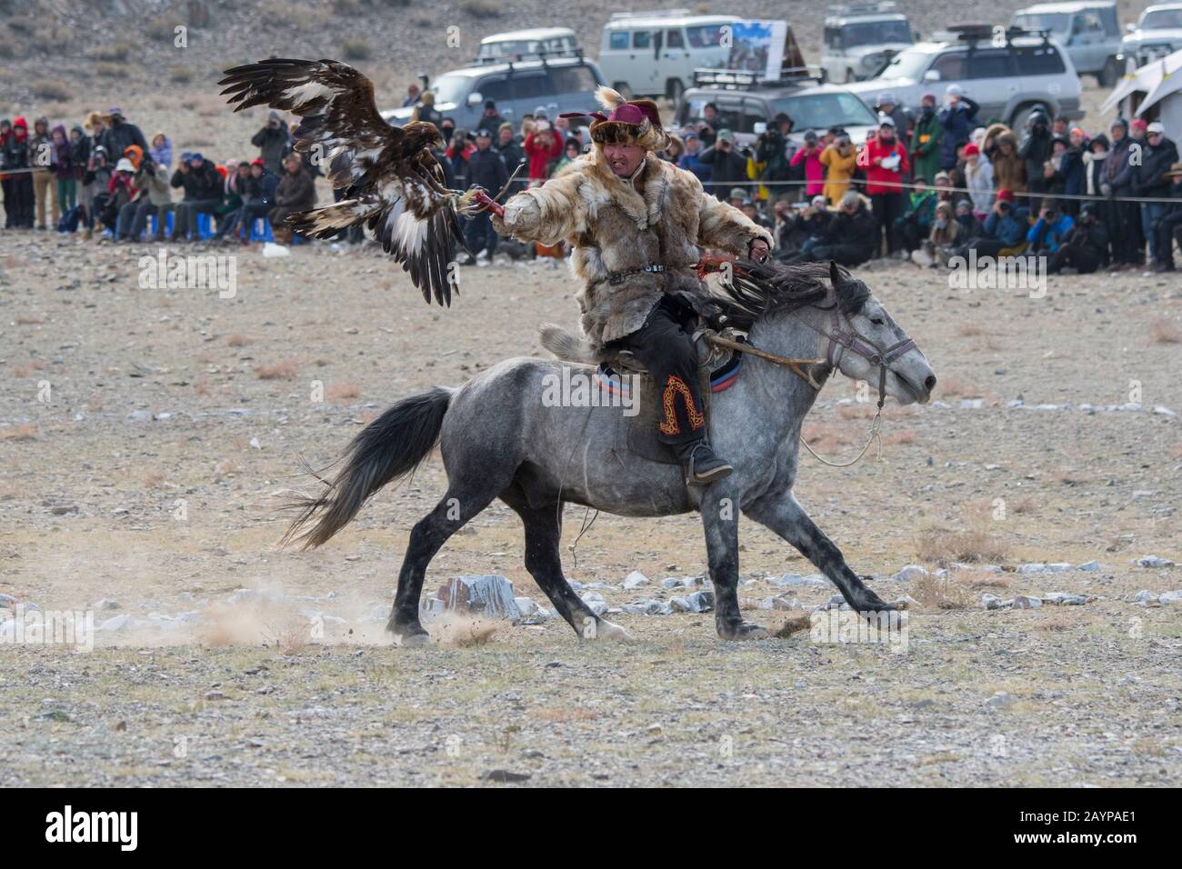 The eagle calling competition (after the eagle is released from a ...