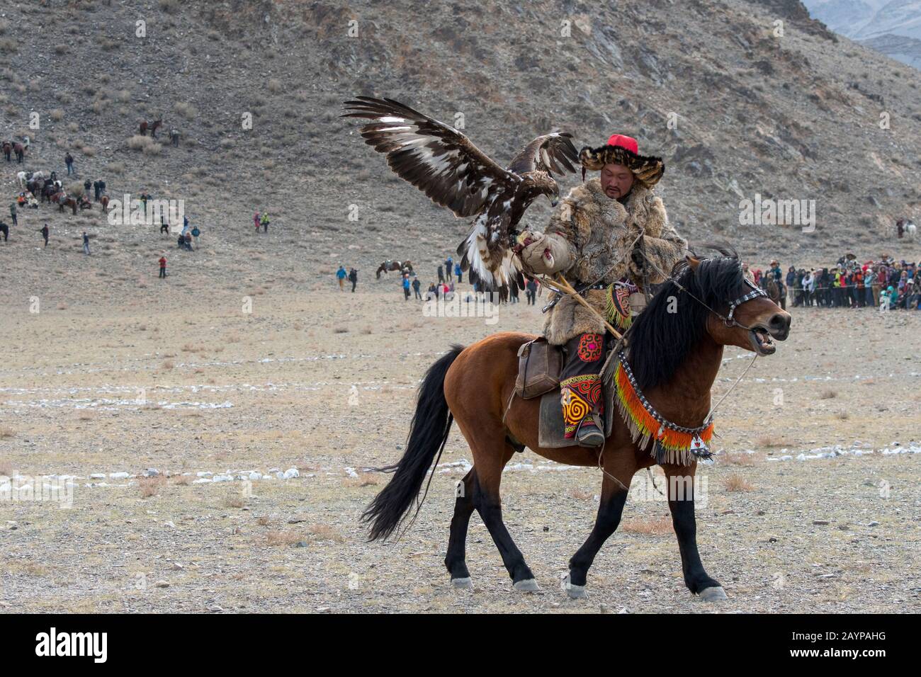 The eagle calling competition (after the eagle is released from a ...