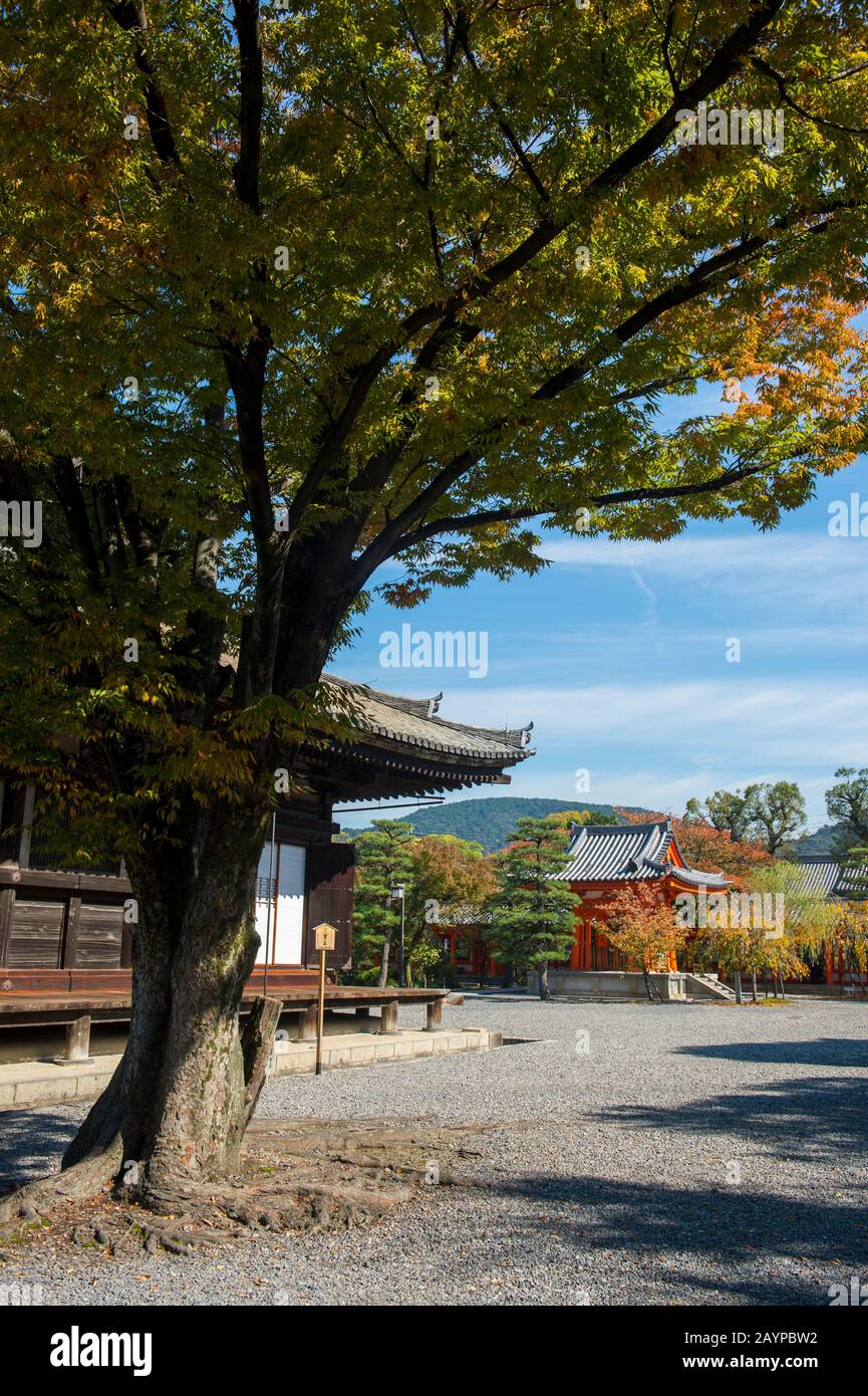 The Sanjusangendo Temple with the bell tower in the background in Kyoto ...