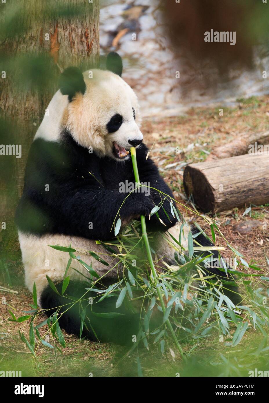 Dc spots hi-res stock photography and images - Alamy