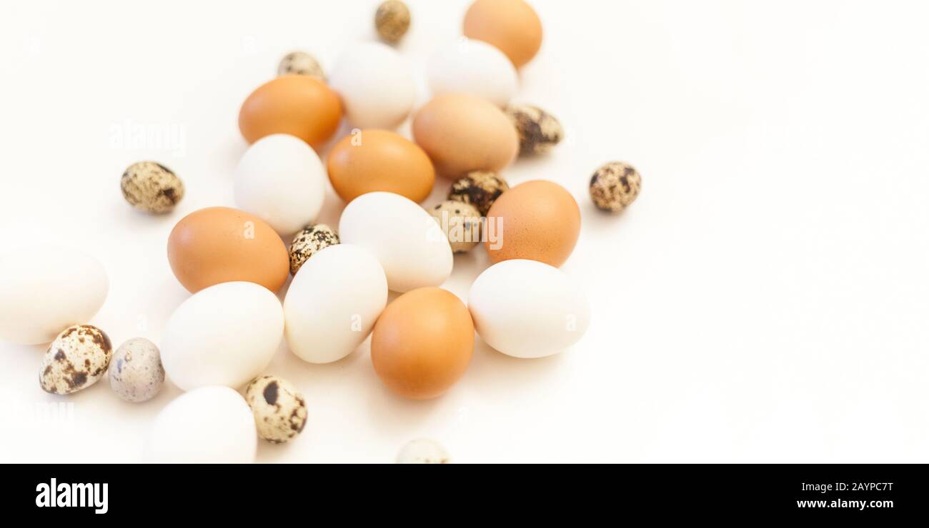 white and brown quail and chicken eggs on white background with plenty ...