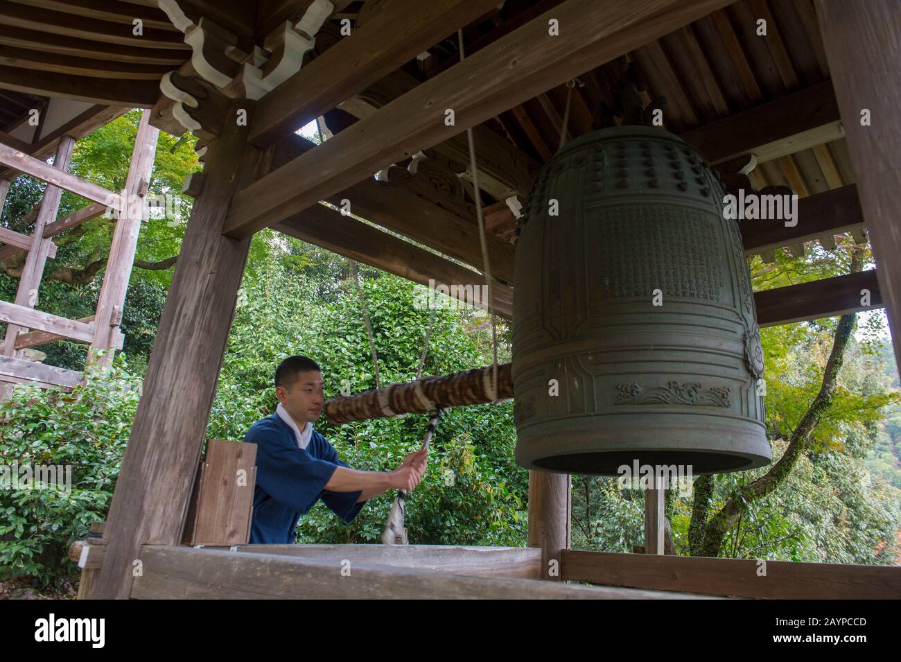 A young monk is ringing the bell at the Senkoji Temple in the forest ...