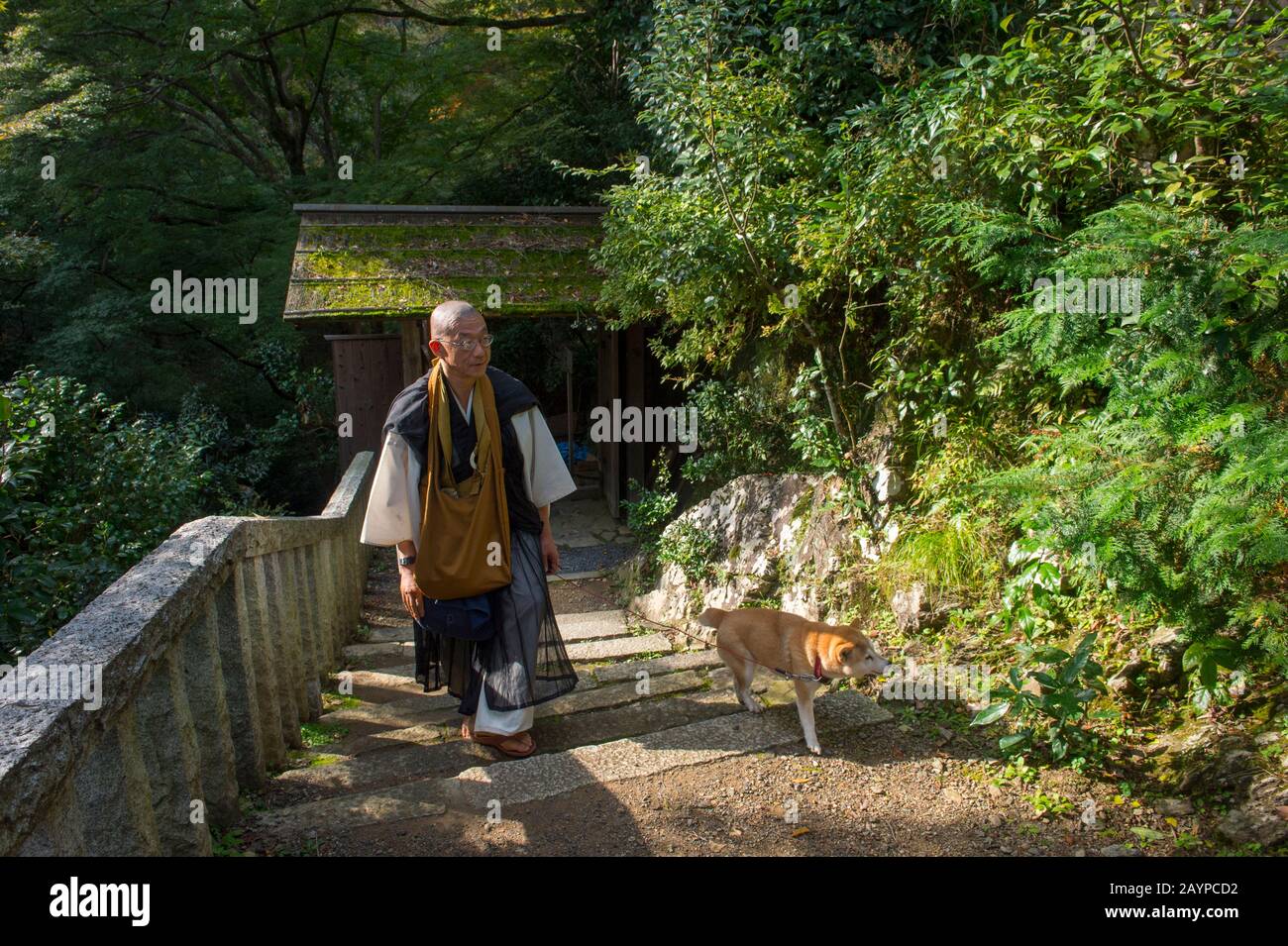 A monk with his dog is walking up to the Senkoji Temple in the forest ...