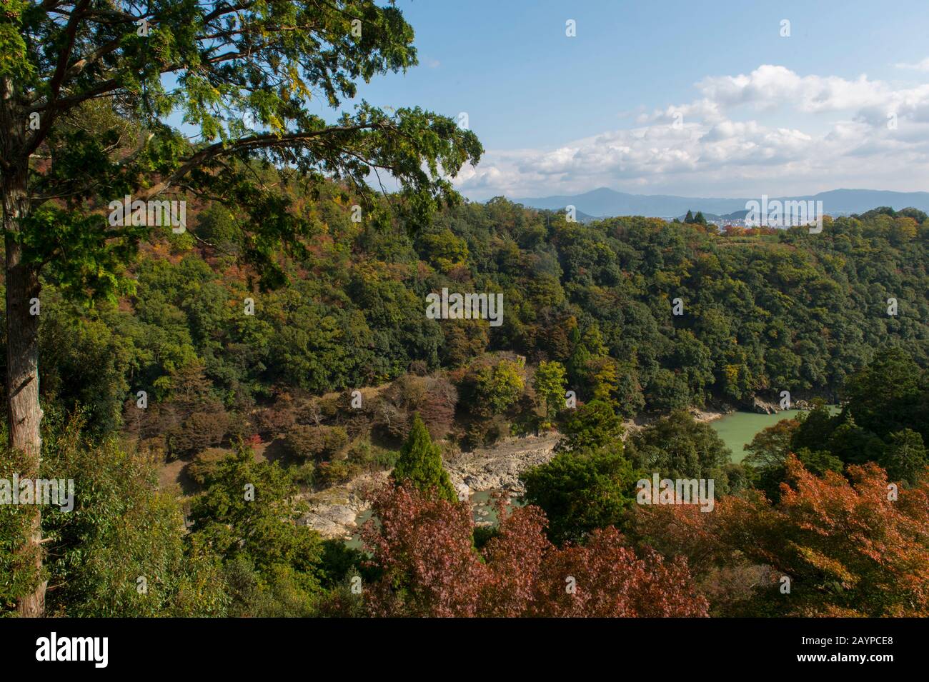 View of the Katsura River valley and forest in early fall from the ...