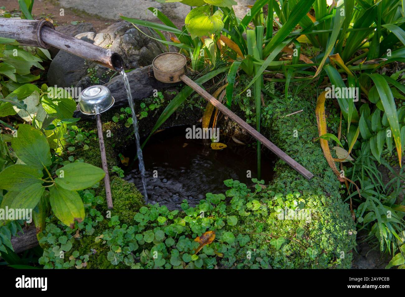 A fountain in the garden of the Senkoji Temple in the forest above the ...