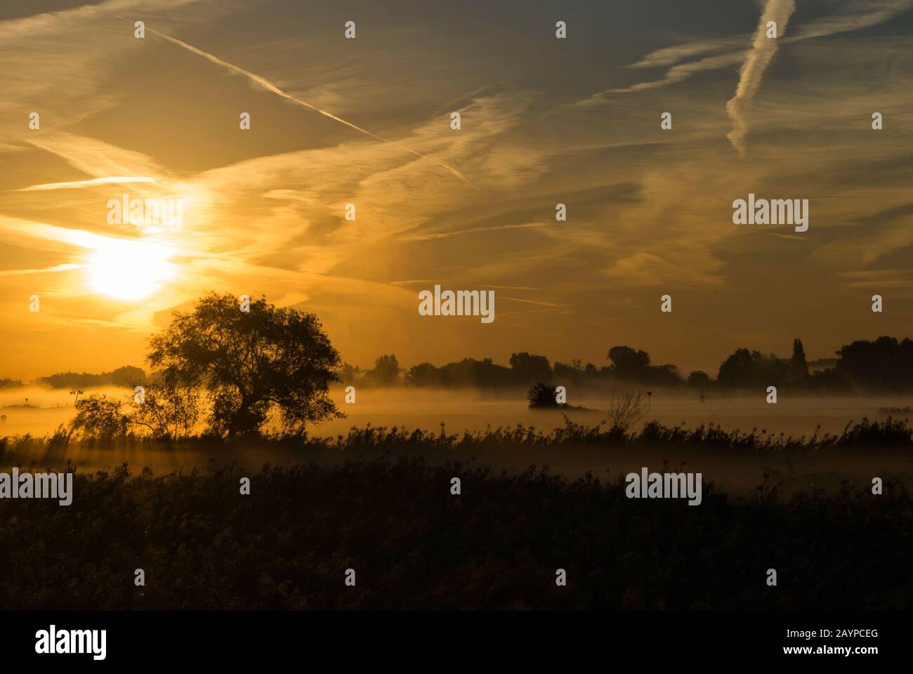 Merwede bridge hi-res stock photography and images - Alamy