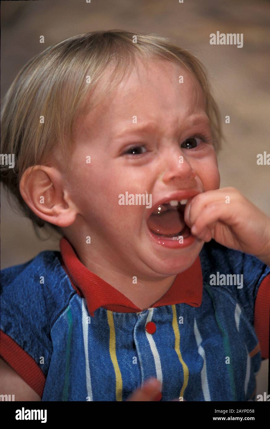 15 month old hi-res stock photography and images - Alamy