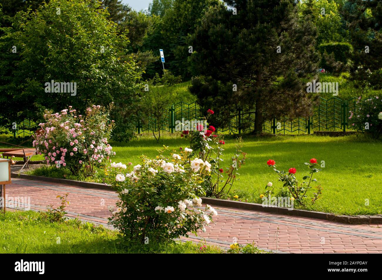 Beautiful green parks for relaxation Stock Photo - Alamy