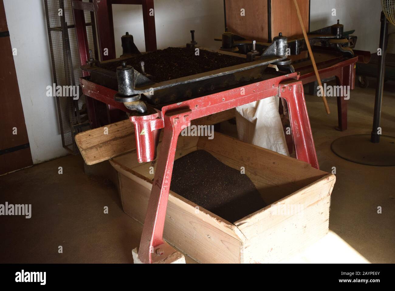 Tea factory inside, equipment and process Stock Photo - Alamy