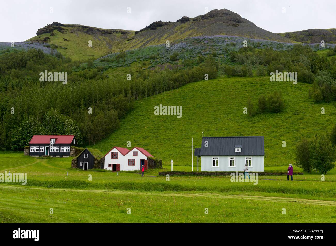 The Skogar folk museum in southern Iceland Stock Photo - Alamy