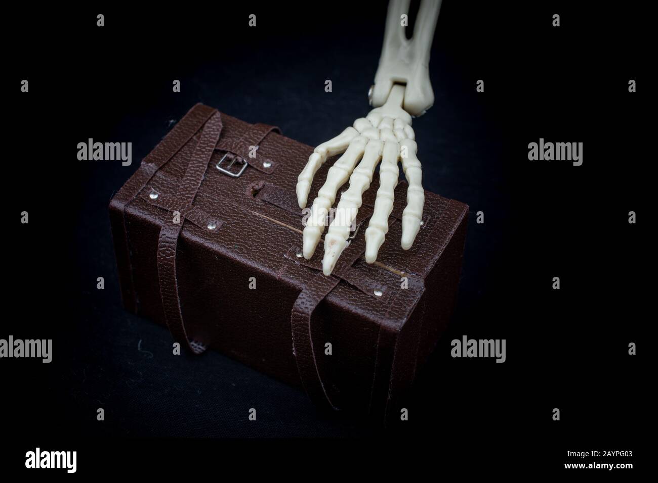 Human skeleton hand model holding a model suitcase Stock Photo - Alamy