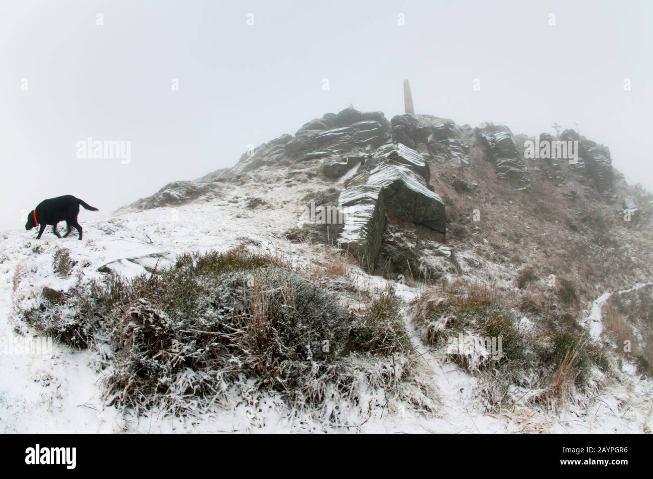 Labrador in mountain hi-res stock photography and images - Alamy