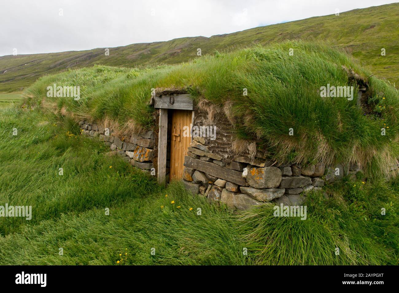 Sheep shed hi-res stock photography and images - Alamy