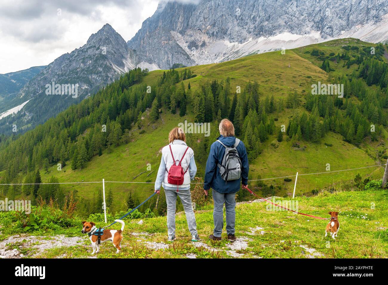 Alpine dogs hi-res stock photography and images - Alamy