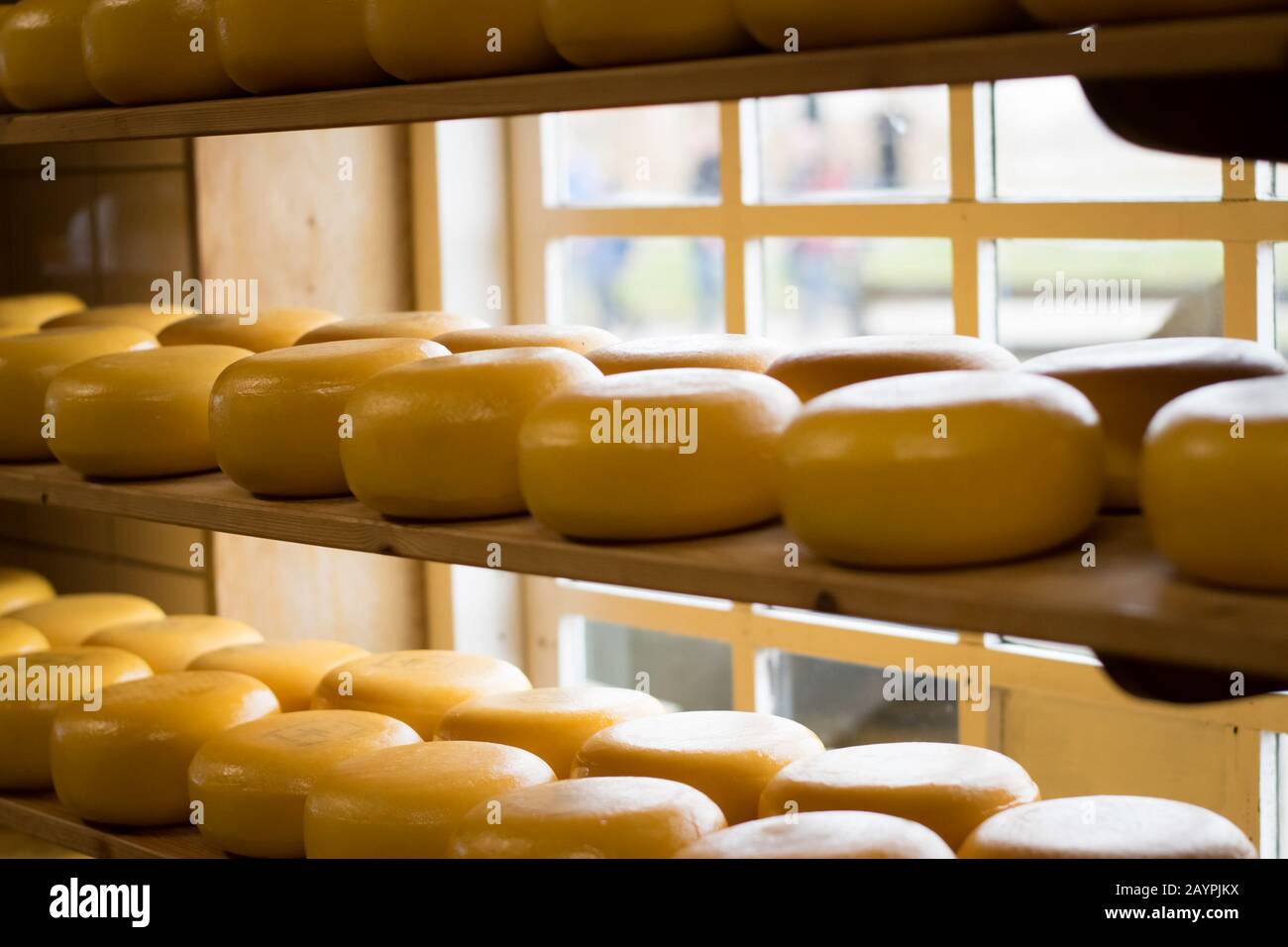 Cheese wheels on a shelf Stock Photo - Alamy